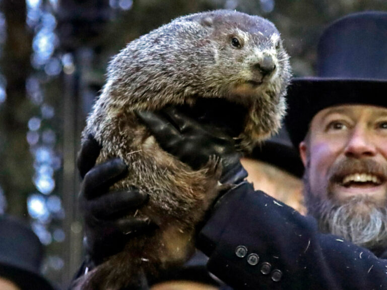 Reynoldsville - Jefferson County, PA